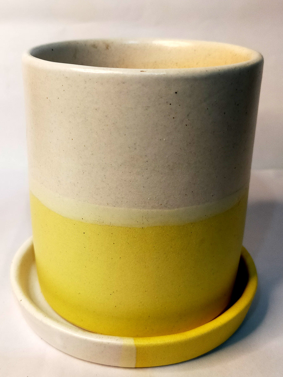 Pastel Cylinder Ceramic Pot with Drain Plate ( 4 Inch) — Mudfingers