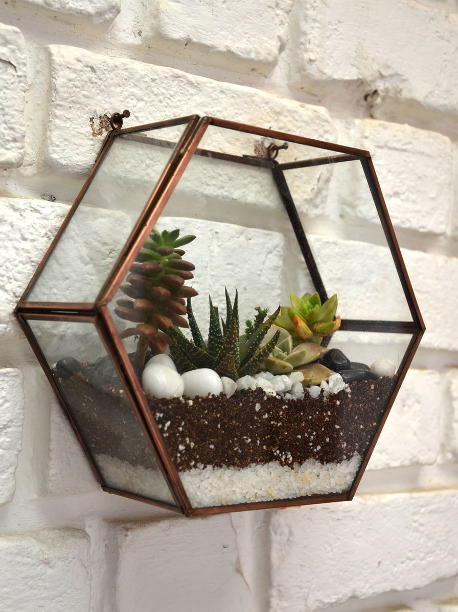 Wall Mounted Terrariums — Mudfingers