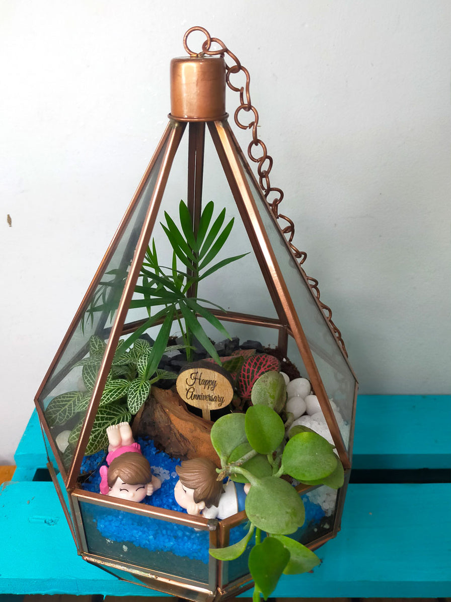 Mudfingers | Experts in Terrariums, Houseplants, Succulents, Bonsai