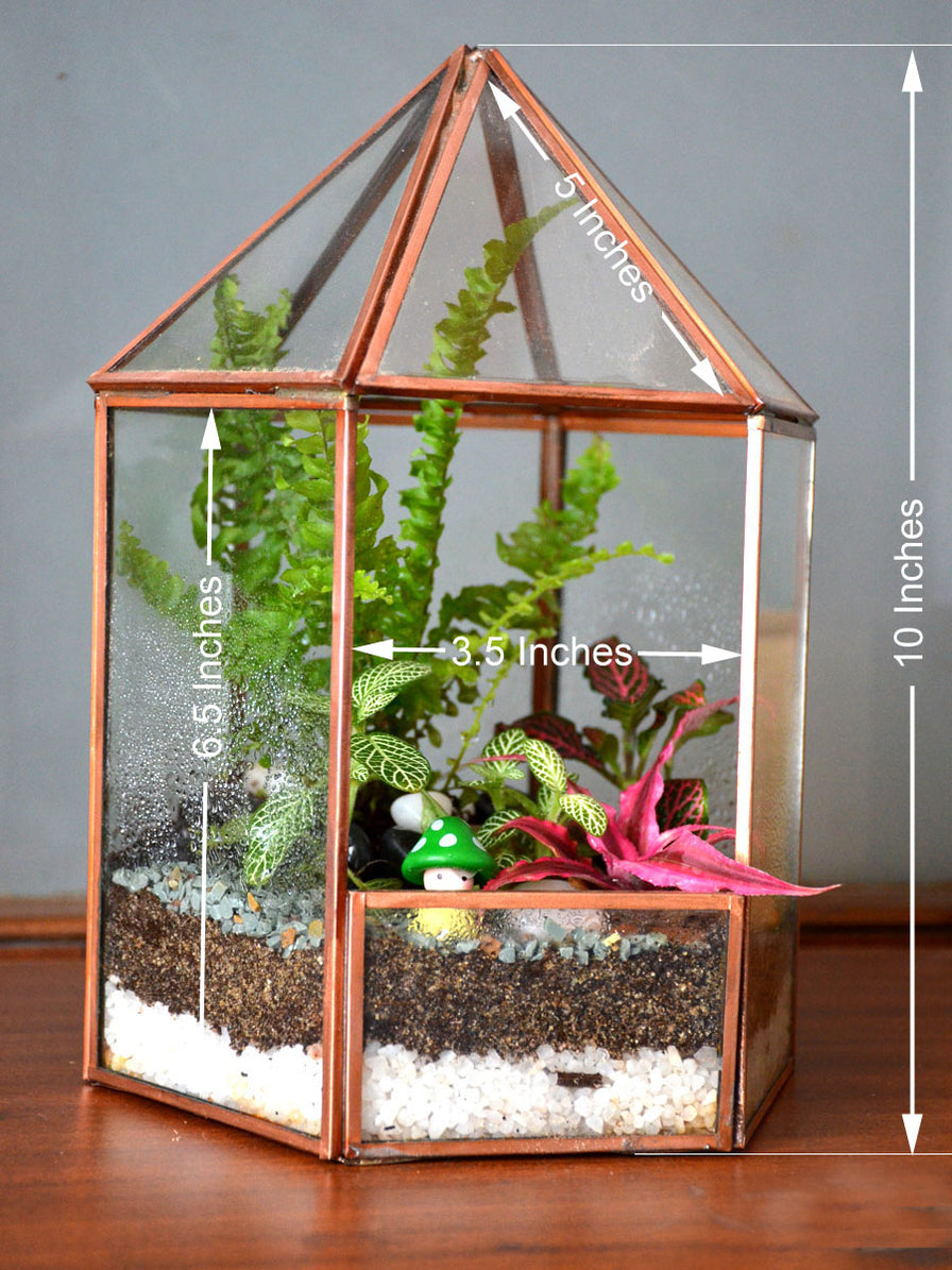 Table Top Terrariums — Mudfingers