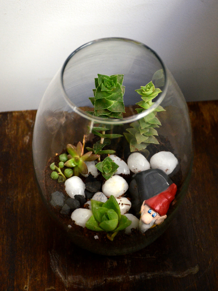 Table Top Terrariums — Mudfingers