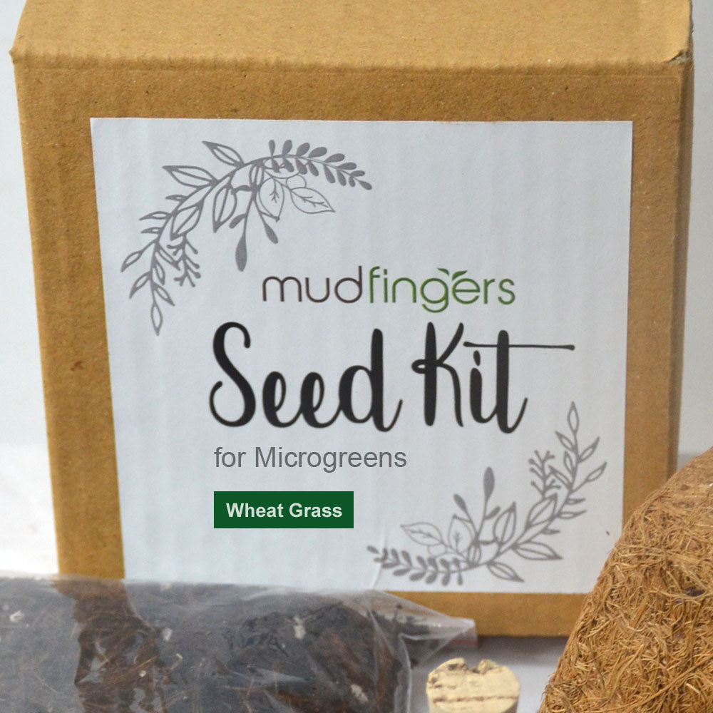 Microgreens Seed Kit — Mudfingers